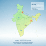 DigiSky Portal: Navigating India’s Digital Sky for Seamless Drone ...